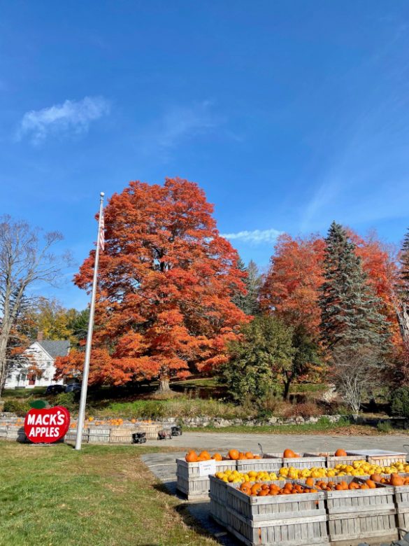 Londonderry, New Hampshire - Big town amenities, small town feel - City ...