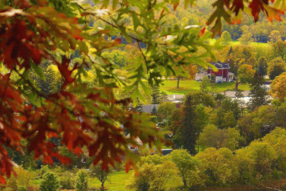 Rural Municipality of Springfield, Manitoba - Loving the life - City ...